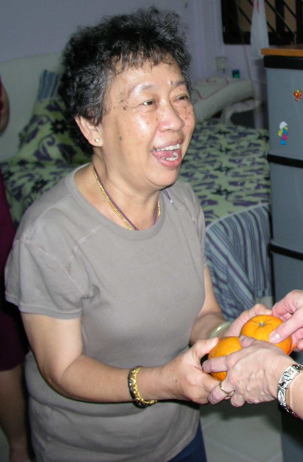 Lum Siew Tiang – Woon Family Portal
